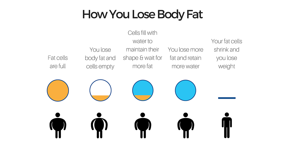 How To Lose 50 Pounds Or More The Path To Transformative Weight Loss How To Lose 50 Pounds Or More The Path To Transformative Weight Loss